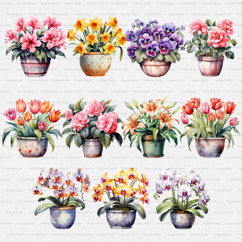 Watercolor Flower Pots PNG Clipart Bundle - A world of instant ...