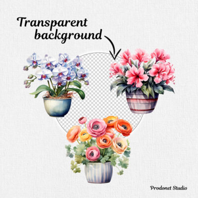 Watercolor Flower Pots PNG Clipart Bundle - A world of instant ...